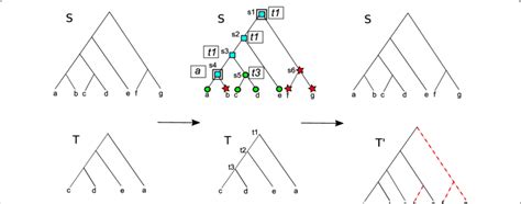 Algorithm For Rot Rf Given S And T As Shown In The Left Column Of