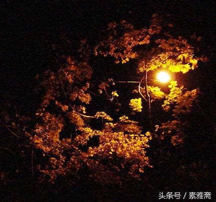 原創 秋夜 每日頭條