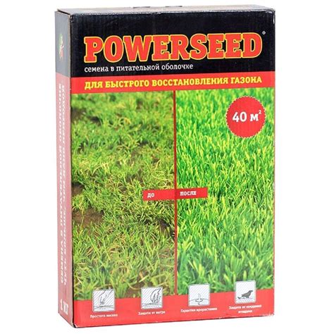 Семена газонной травы Для быстрого восстановления газона Powerseed 1 кг ...