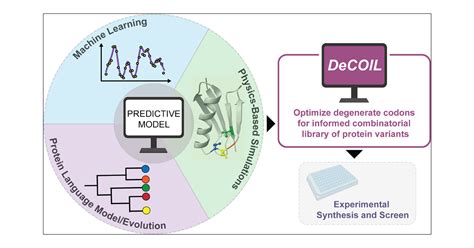 Decoil Optimization Of Degenerate Codon Libraries For Machine Learning