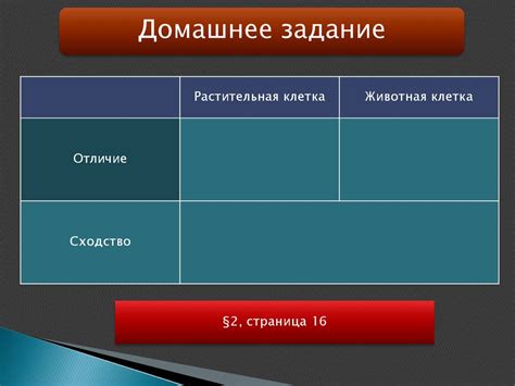 Живая клетка Открытие живой клетки Строение живой клетки Урок 3 8 класс презентация онлайн