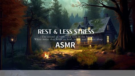수면 휴식 및 스트레스 감소 Asmr Youtube