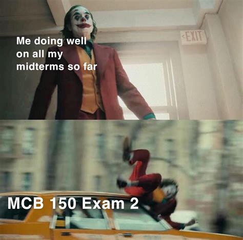 Skipping All Classes Today To Study For It Ruiuc