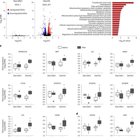 Skeletal Muscle Rna Seq Skeletal Muscle Tissue Obtained In The