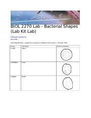 BIOL Lab Bacterial Shapes Lab Kit Lab Docx BIOL Lab Bacterial Shapes Lab Kit