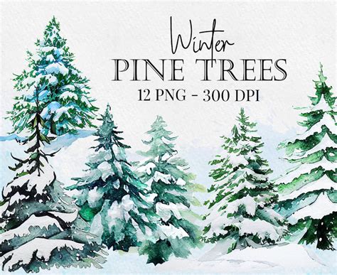 Winter Snow Pine Trees Woods Watercolor Graphic Botanical Etsy UK In 2022 Watercolor Graphic