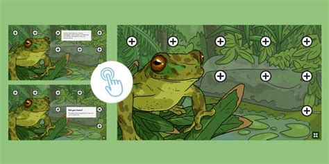 Spotted Tree Frog Interactive Hotspot Twinkl Twinkl