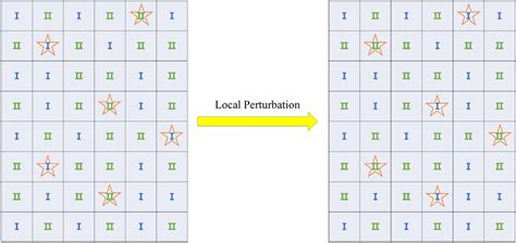 Schematic Diagram For The Local Perturbation Download Scientific Diagram