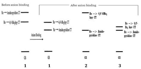 Reordering Of Excited States Of Sensor 1 Before And After Anion Download Scientific Diagram