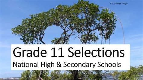 Png Exam Results 2024 Grade 11 And Grade 12 Selection For 2025 Dates Selection