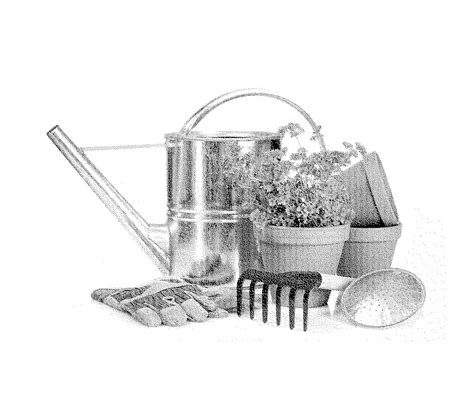 Framtiden I Våre Hender Kompostering Av Matavfall