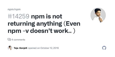 Npm Is Not Returning Anything Even Npm V Doesn T Work Issue