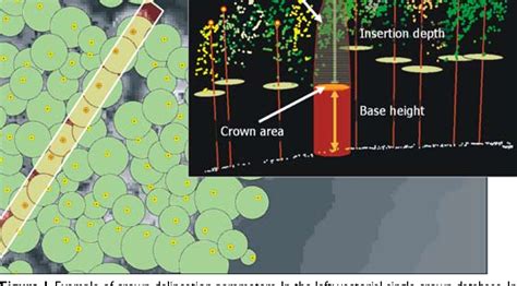 Figure 1 From Assessment Of Forestry Parameters At Single Tree Level By