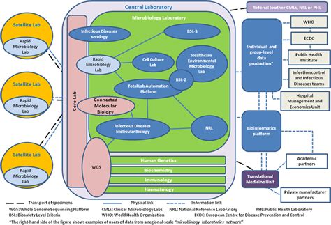 Bubble Diagram Describing The Relationships Between The Different Download Scientific Diagram