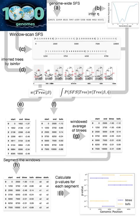 Figure S2 Real Data Analysis Pipeline A We Calculate Genome Wide