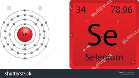 Selenium Atom Model