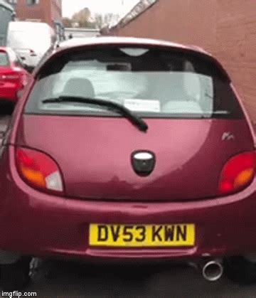 Animated GIF Imgflip