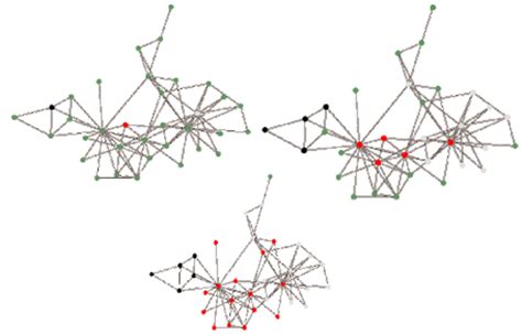 Propagation Example Download Scientific Diagram