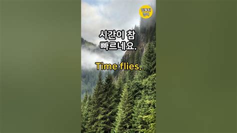 우선 듣기만 하세요ㅣ짦고 쉬운ㅣ기초영어회화 100문장ㅣ생활 필수영어회화 L 미국인이 매일쓰는 생활영어ㅣ영어반복듣기ㅣ왕초보 영어공부ㅣ패턴영어ㅣ여행영어ㅣ한글발음포함ㅣ시니어영어