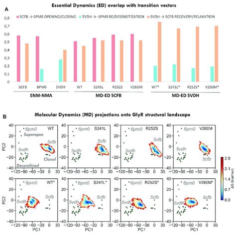 Conformational Space Sampling By Elastic Network Models And Essential Download Scientific