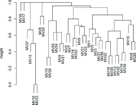 Complete Linkage Hierarchical Cluster Of All Individuals The Analysis