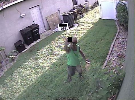 21 Funny Things Caught By Security Cameras Barnorama