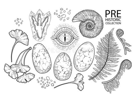 Coloring Pages Fossils Coloring Pages Fossils