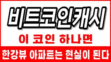 비트코인캐시 코인 십년에 한번 올까 말까 한 인생 역전 기회 비트코인캐시코인비트코인캐시코인전망비트코인캐시코인분석