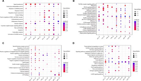 Go And Kegg Pathway Enrichment Analysis A Dot Plot Shows The Download Scientific Diagram