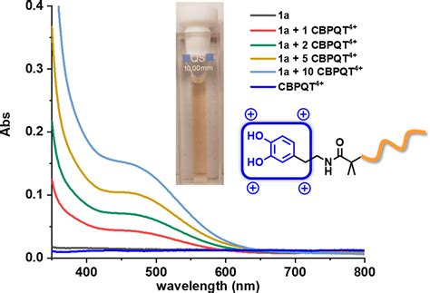 Thermoresponsive Catechol End‐functionalized Polymerscbpqt4 4cl− Supramolecular Assembly
