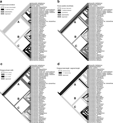 Fitch Optimization Of Floral Characters Onto The Strict Consensus Tree Download Scientific