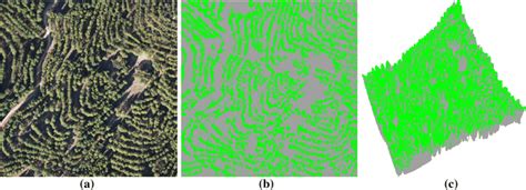 Examples Of Radiometric Segmentation Of The Photogrammetric Point Download Scientific Diagram