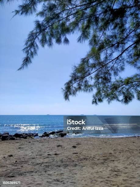 열대 해변 소나무 잎 갈색 모래 검은 산호 푸른 파도가 아름다운 풍경을 자랑합니다 0명에 대한 스톡 사진 및 기타 이미지 0명 경관 관광 Istock