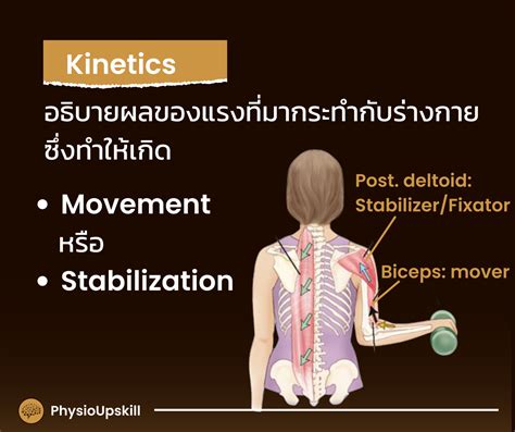 Episode2 Kinetics vs Kinematics 2 คำทคลายกน มนตางกนยงไง PhysioUpskill