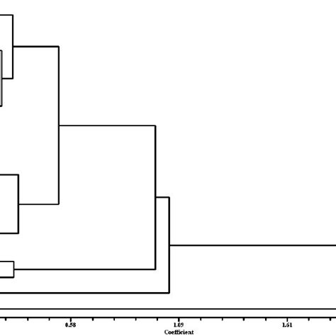 Upgma Dendrogram Of Common Bean Genotypes Based On Enzyme Activities
