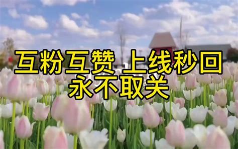 互粉 互赞 互关 上线秒回 永不取关哔哩哔哩bilibili