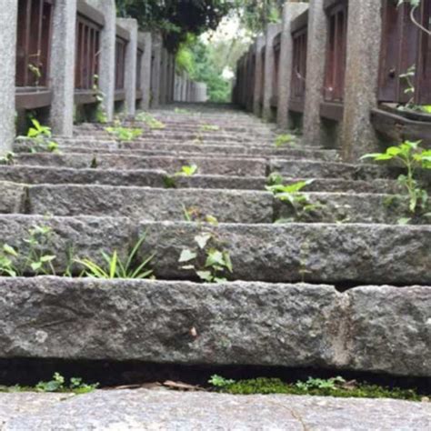 Robbie Zhao Xiamen University Xiamen Xmu Department Of Automation Research Profile