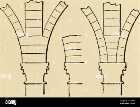 An Encyclopaedia Of Architecture Historical Theoretical