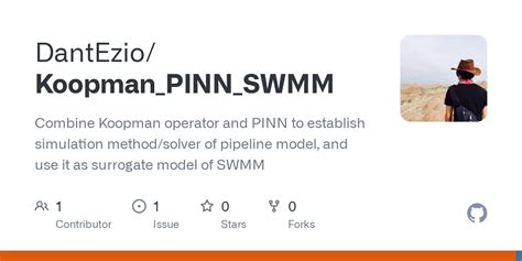 Issues · Danteziokoopmanpinnswmm · Github