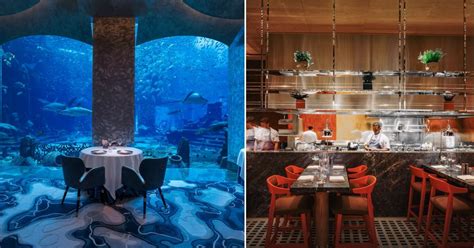 Atlantis Adventure Experience Dubais Ultimate Destination For Luxury