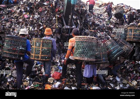 11082009 Jakarta Java Indonesia Asia Indonesian Garbage Collectors Are Searching For