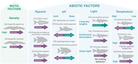 Of The Biotic And Abiotic Factors Characterized In The Environmental