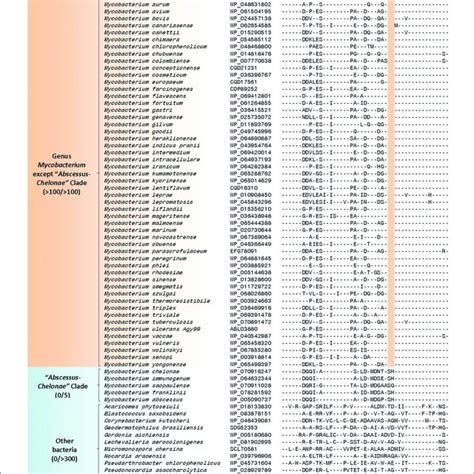 A Partial Sequence Alignment Of A Conserved Region Of Nif3 Like