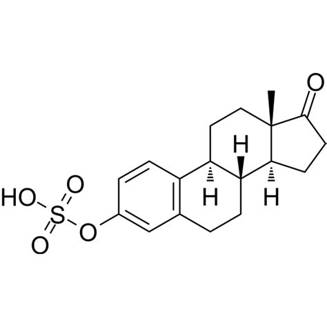 Estrone Sulfate Endogenous Metabolite Medchemexpress