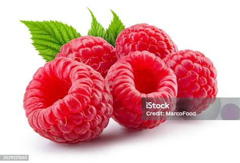 라즈베리 분리 녹색 잎이 분리 된 라즈베리 흰색 배경에 나뭇잎이 있는 라즈베리입니다 클리핑 패스 포함 전체 피사계 심도 라즈베리에 대한 스톡 사진 및 기타 이미지 Istock