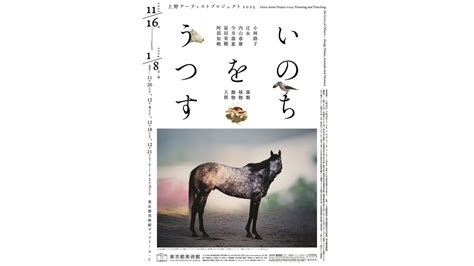 Met Art Hi Res Wallpaper