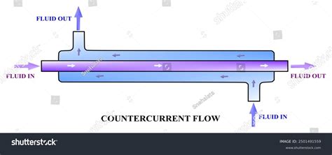 Counter Current Flow Countercurrent Flow Heat Stock Illustration