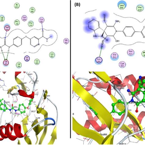 Representation Of The 2d And 3d Binding Modes Of A Co Crystallized Download Scientific