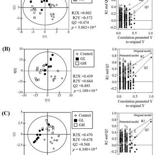 Partial Least Squares Discriminant Analysis PLS DA Score Plots Of Download Scientific Diagram