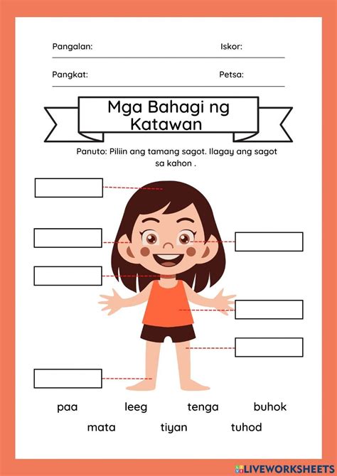 Bahagi Ng Katawan Kindergarten Worksheet Kindergarten Worksheets